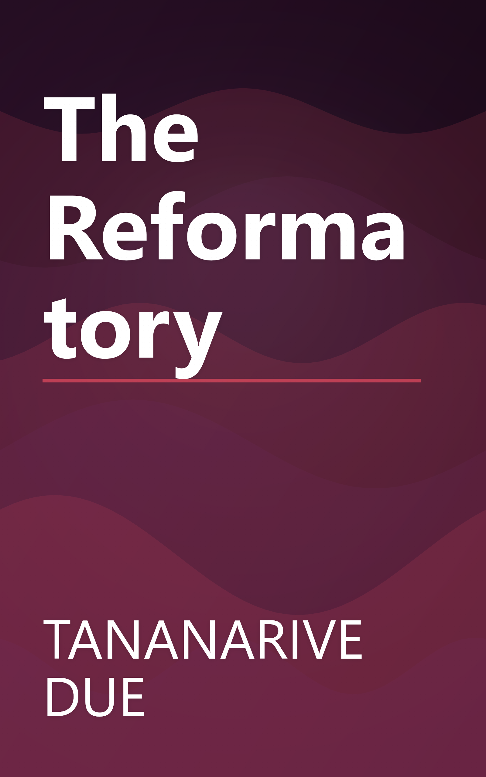 The Reformatory book cover