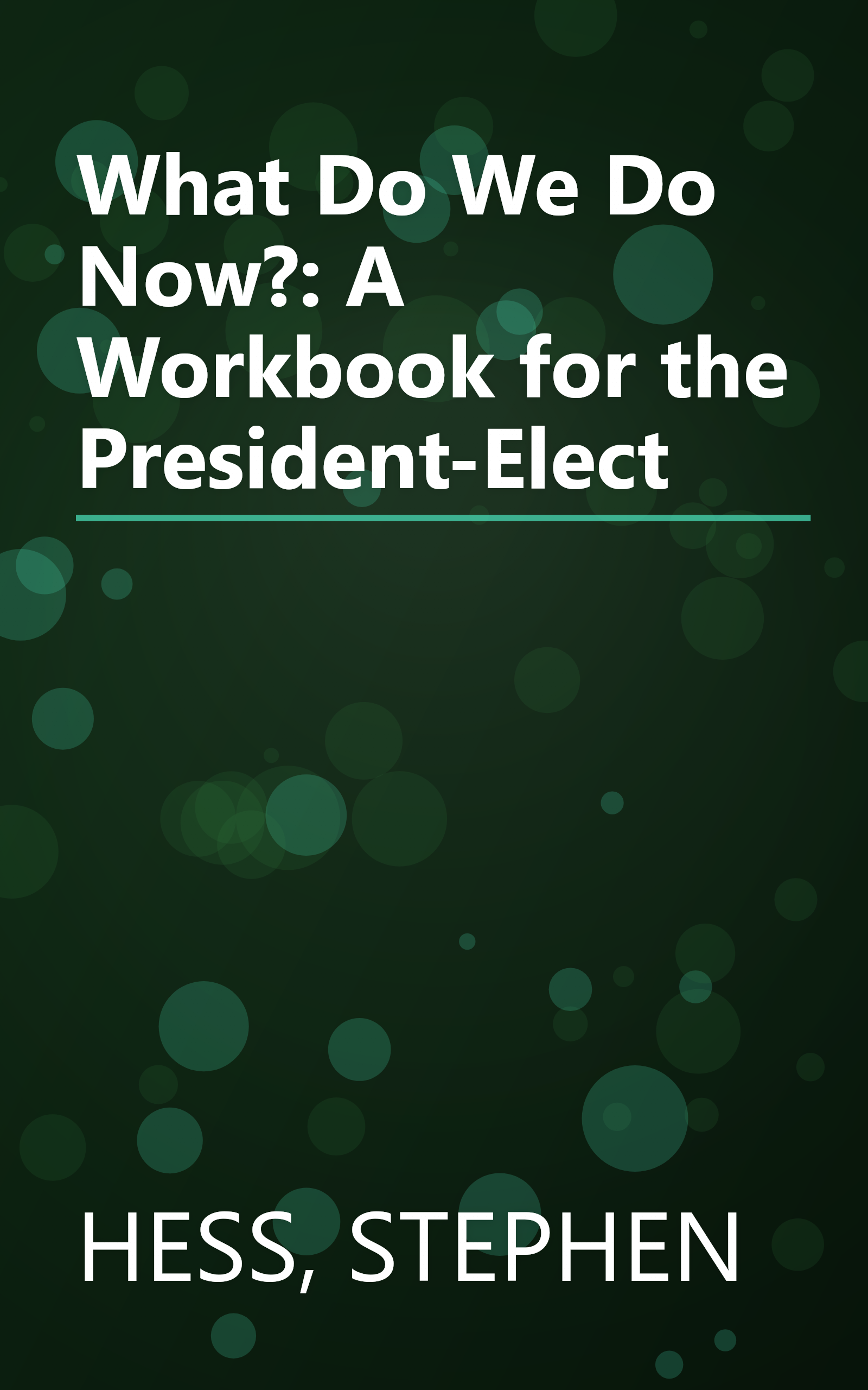 What Do We Do Now?: A Workbook for the President-Elect book cover