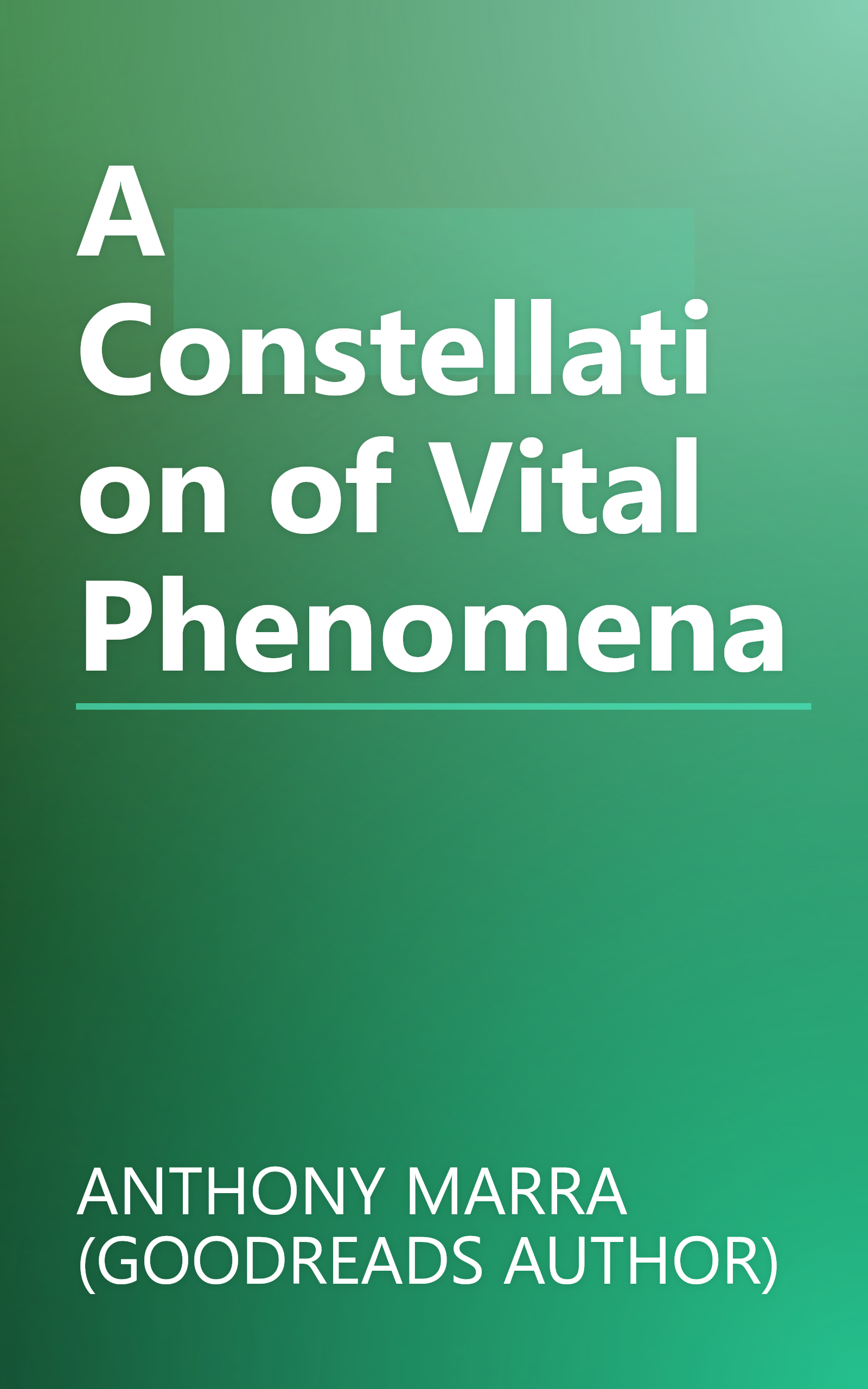 A Constellation of Vital Phenomena book cover