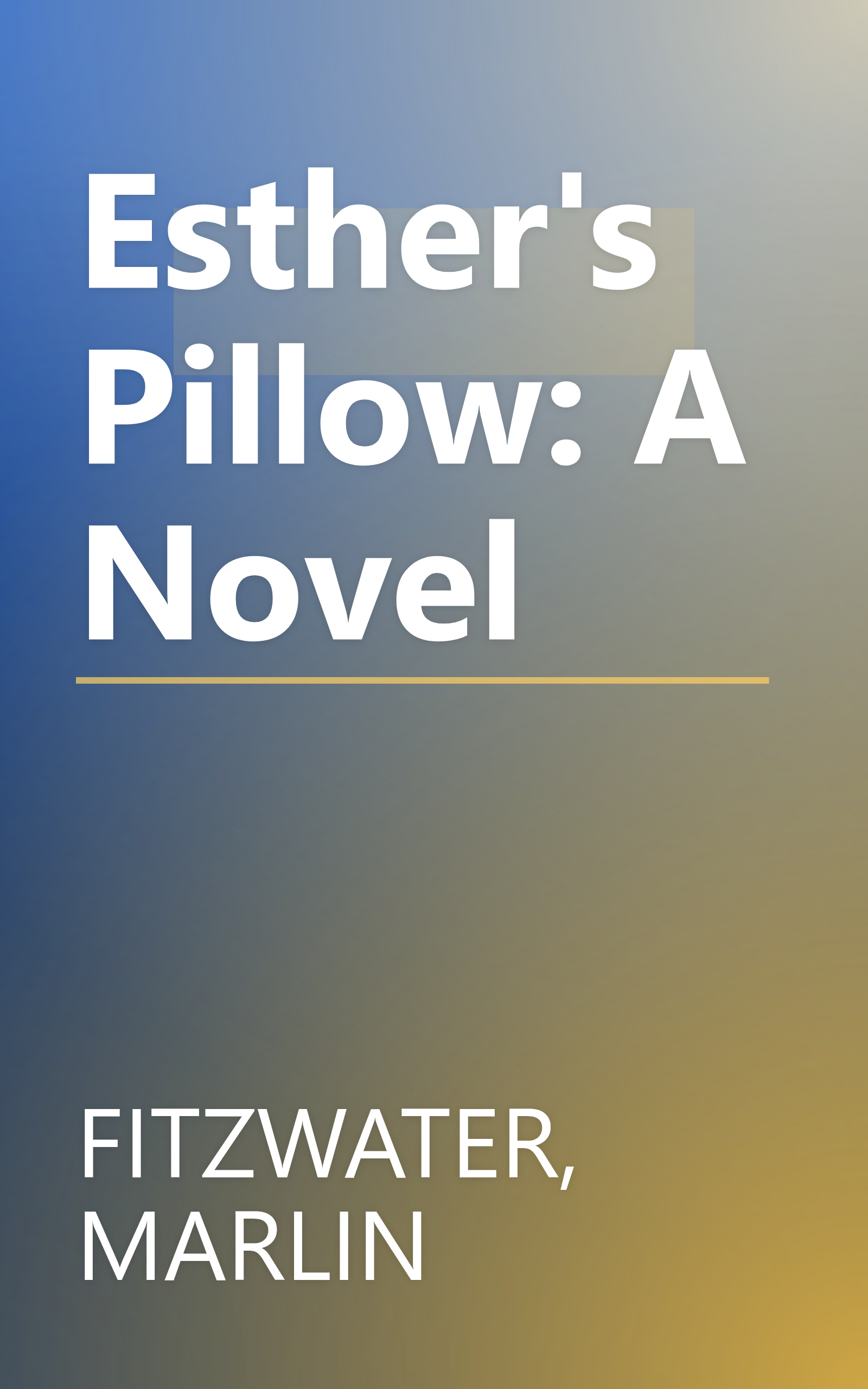Esther's Pillow: A Novel book cover