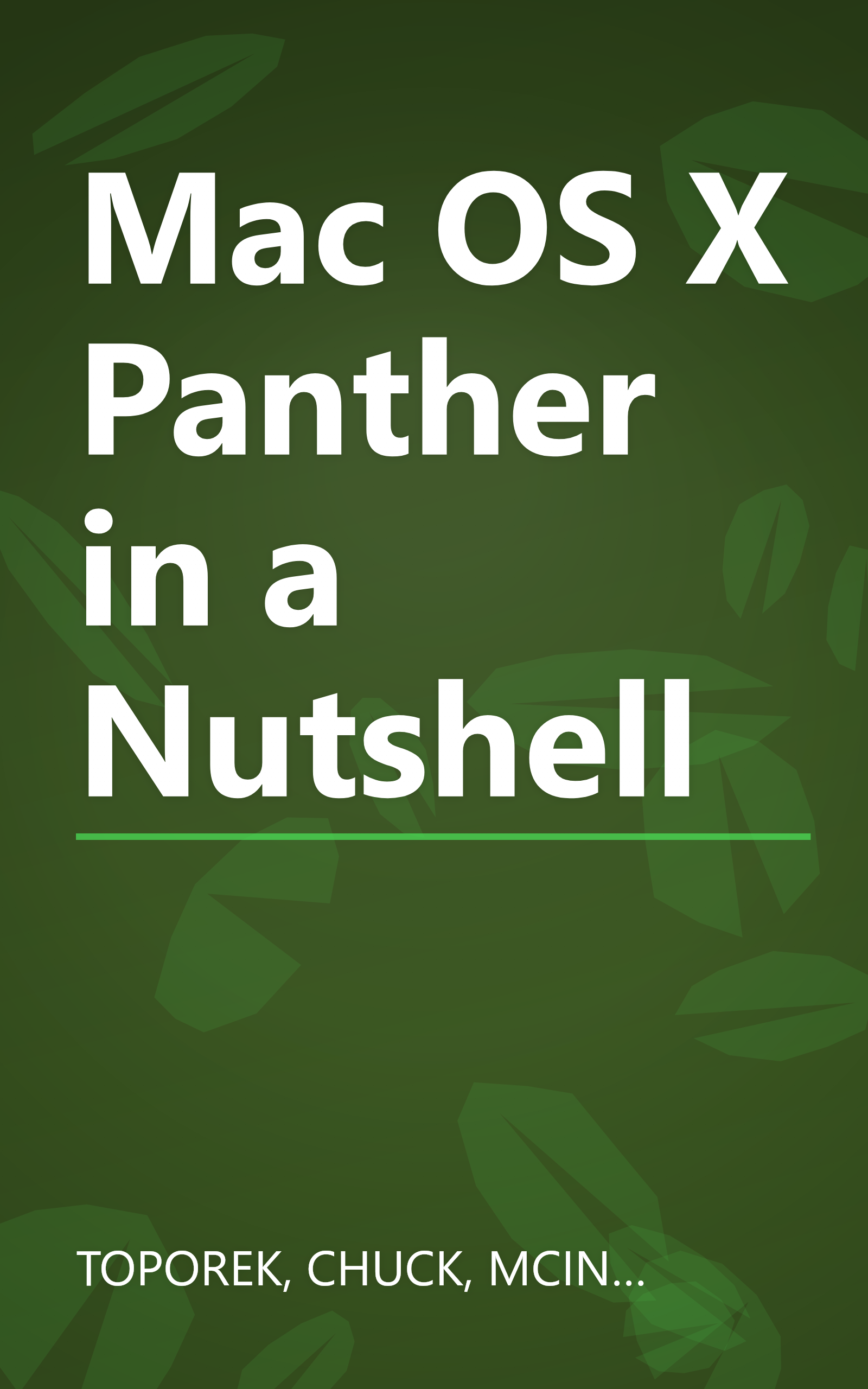 Mac OS X Panther in a Nutshell book cover