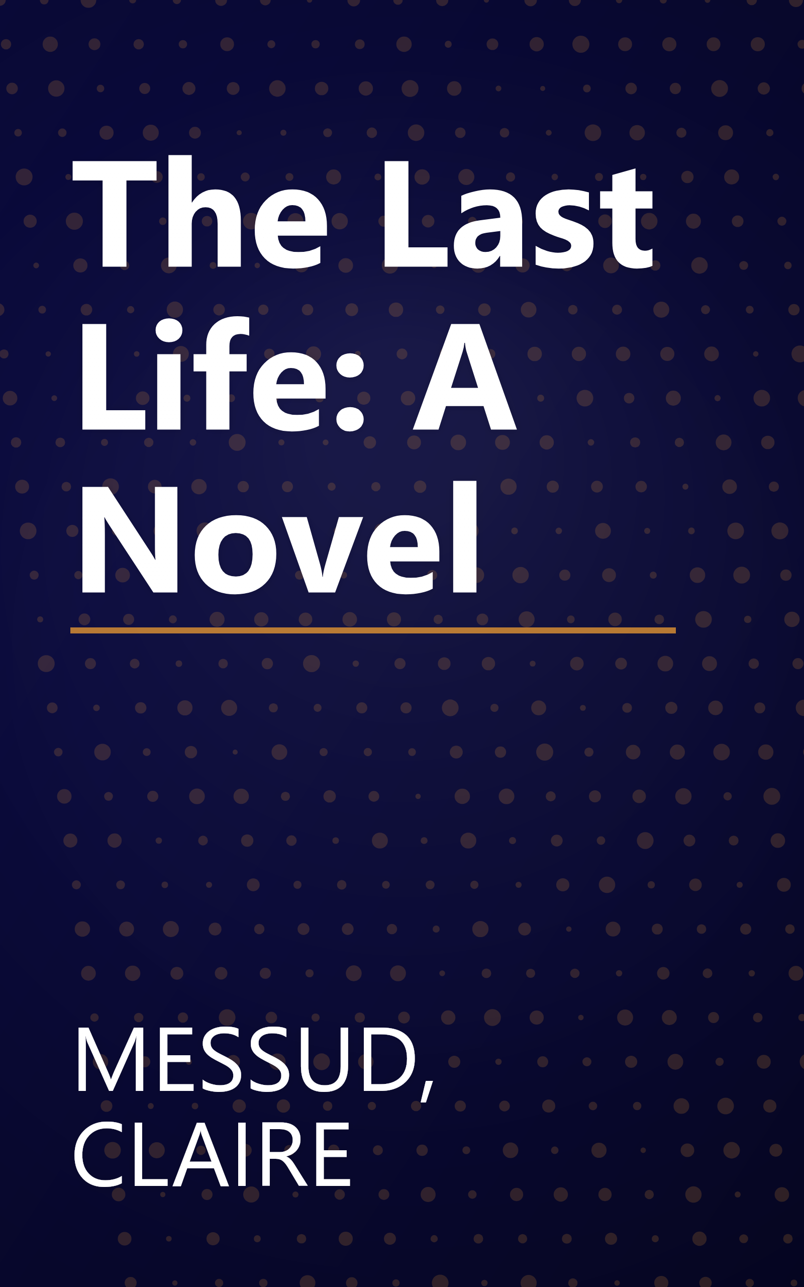 The Last Life: A Novel book cover