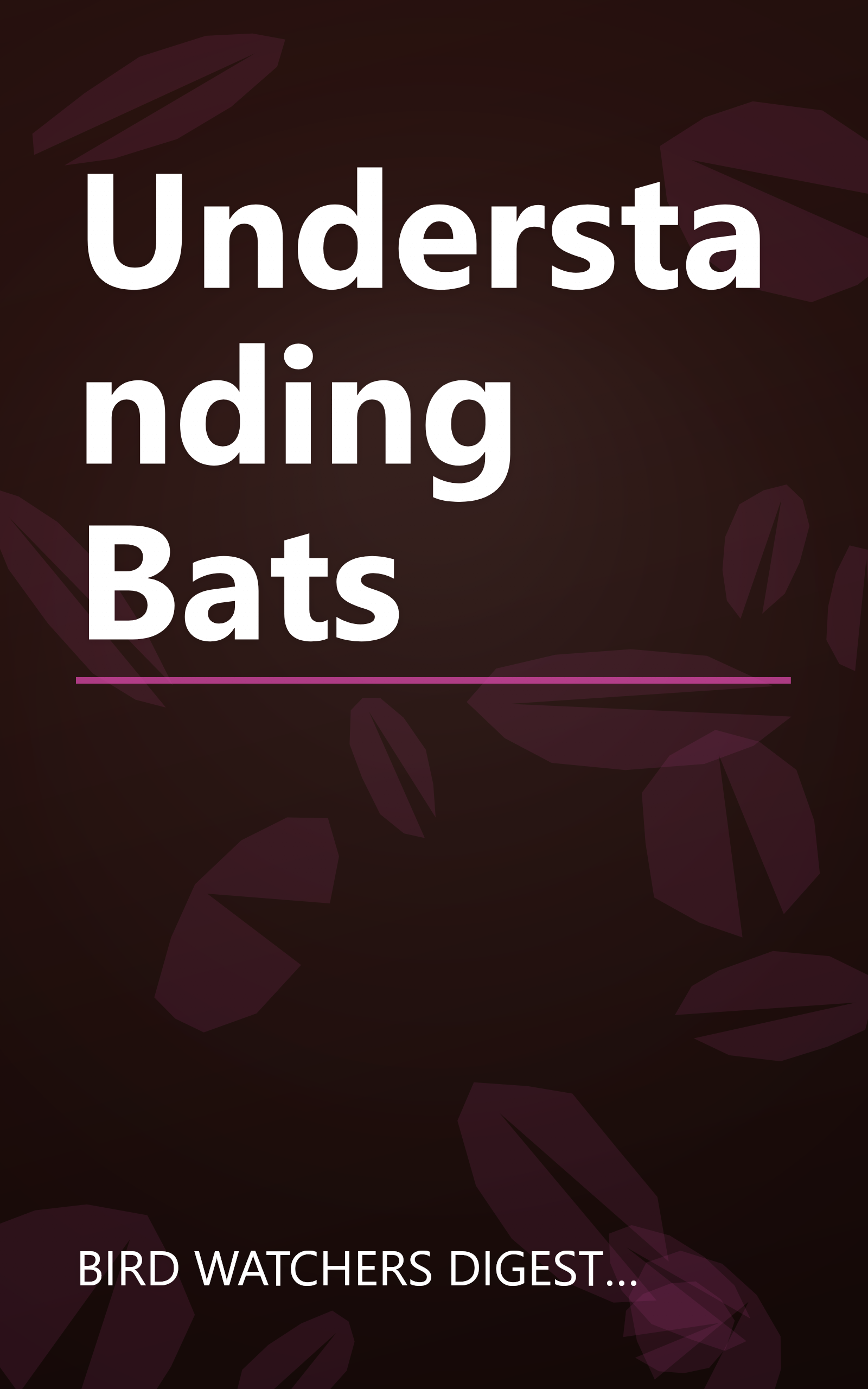 Understanding Bats book cover
