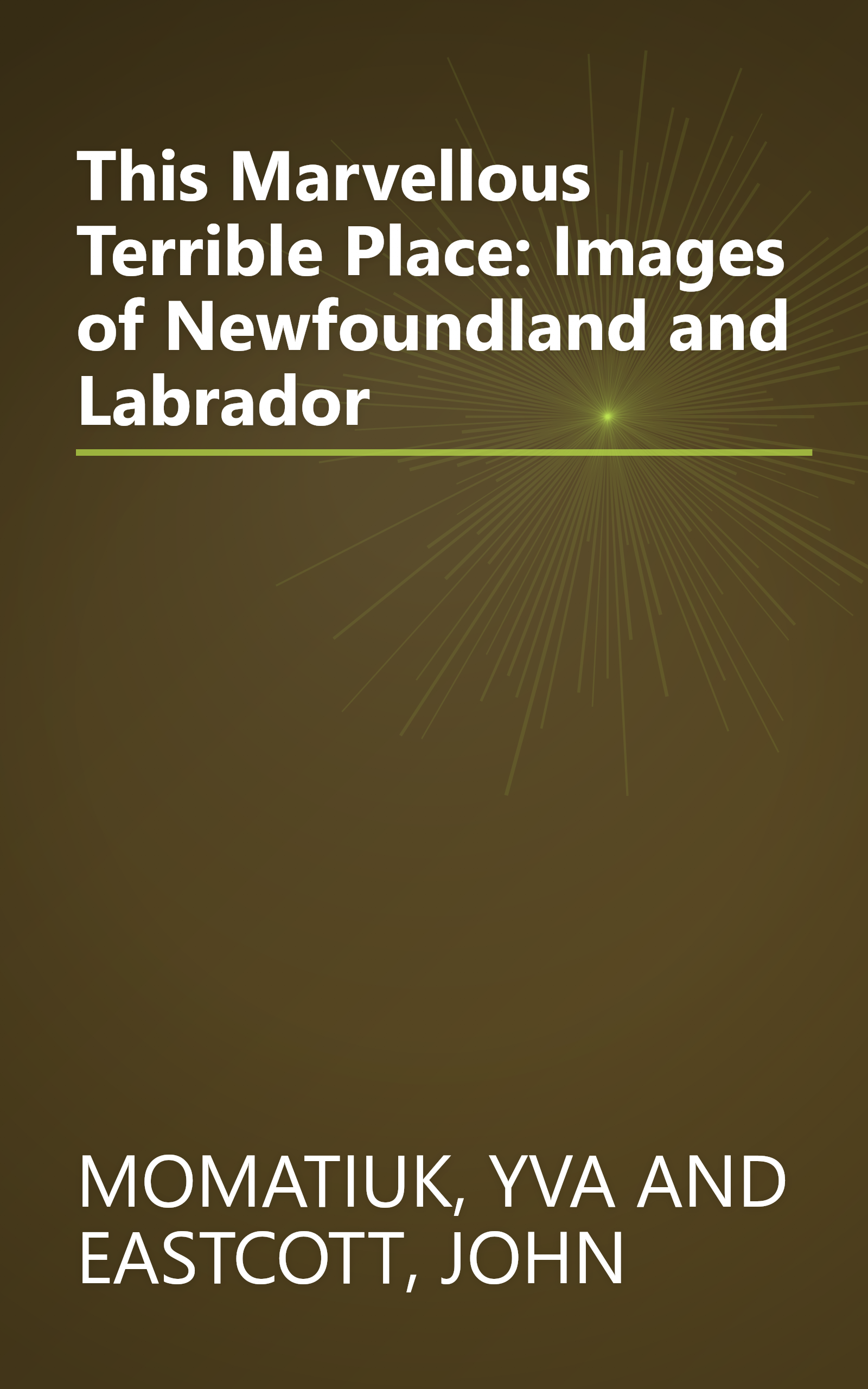 This Marvellous Terrible Place: Images of Newfoundland and Labrador book cover