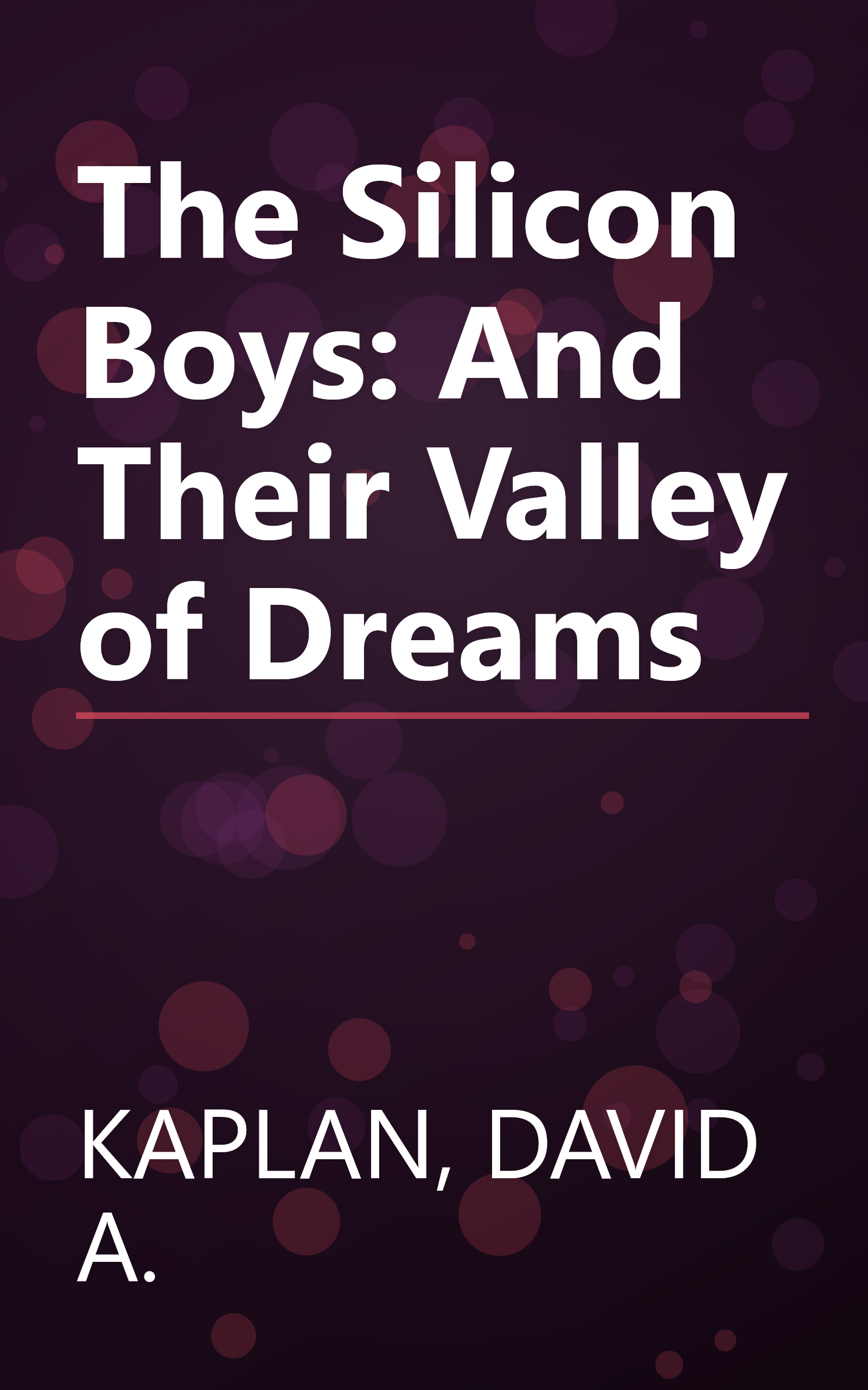 The Silicon Boys: And Their Valley of Dreams book cover