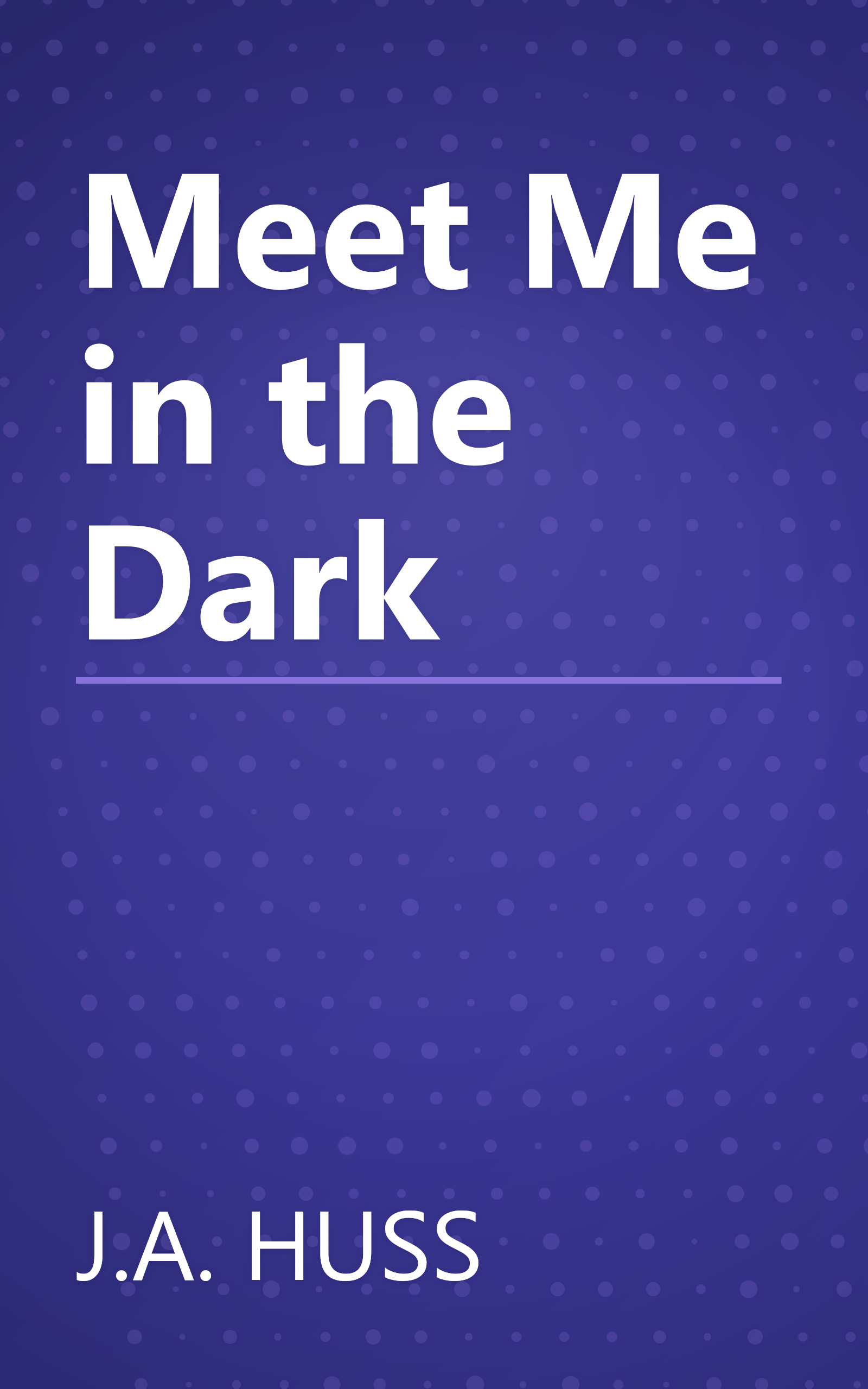 Meet Me in the Dark book cover
