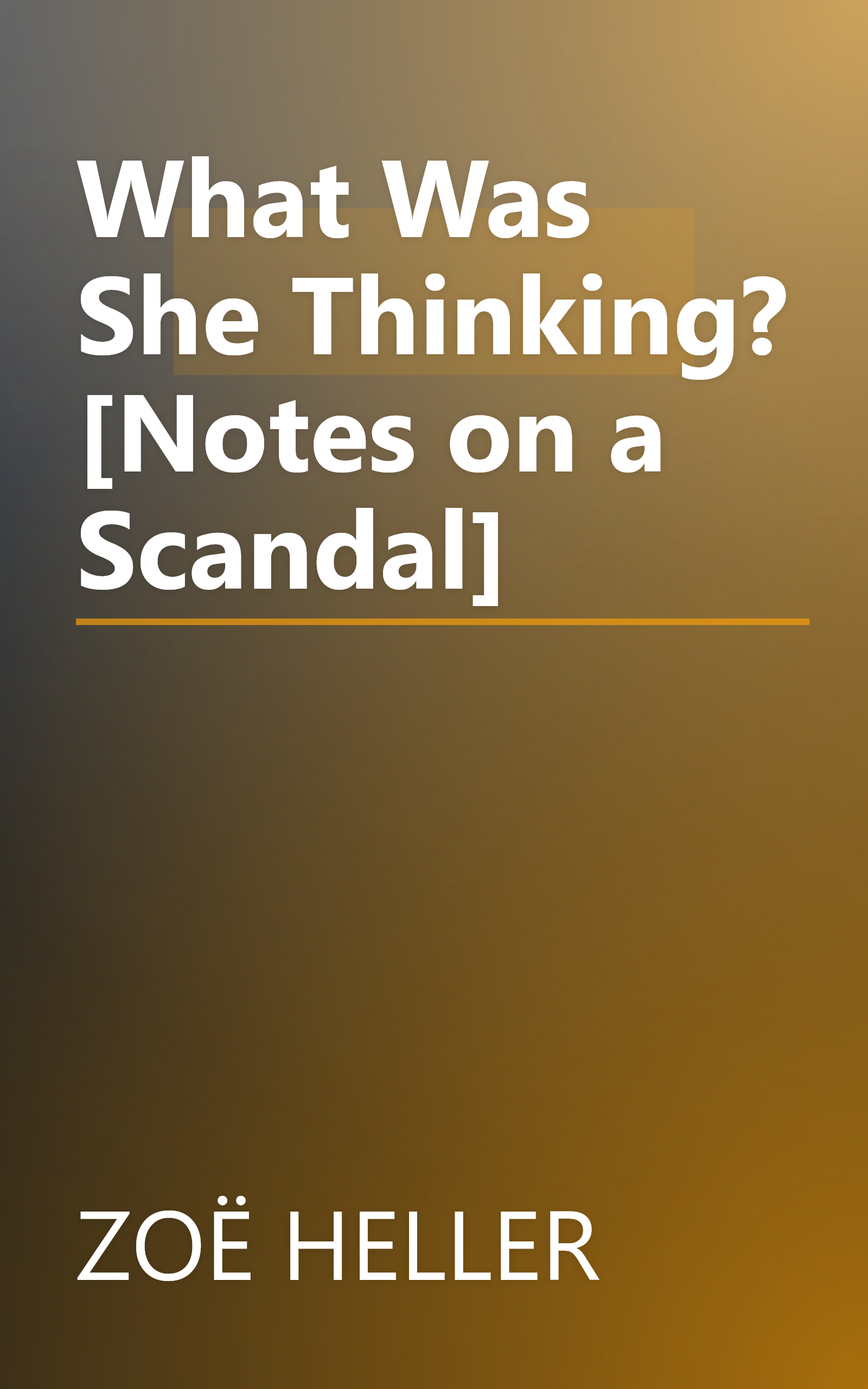 What Was She Thinking? [Notes on a Scandal] book cover