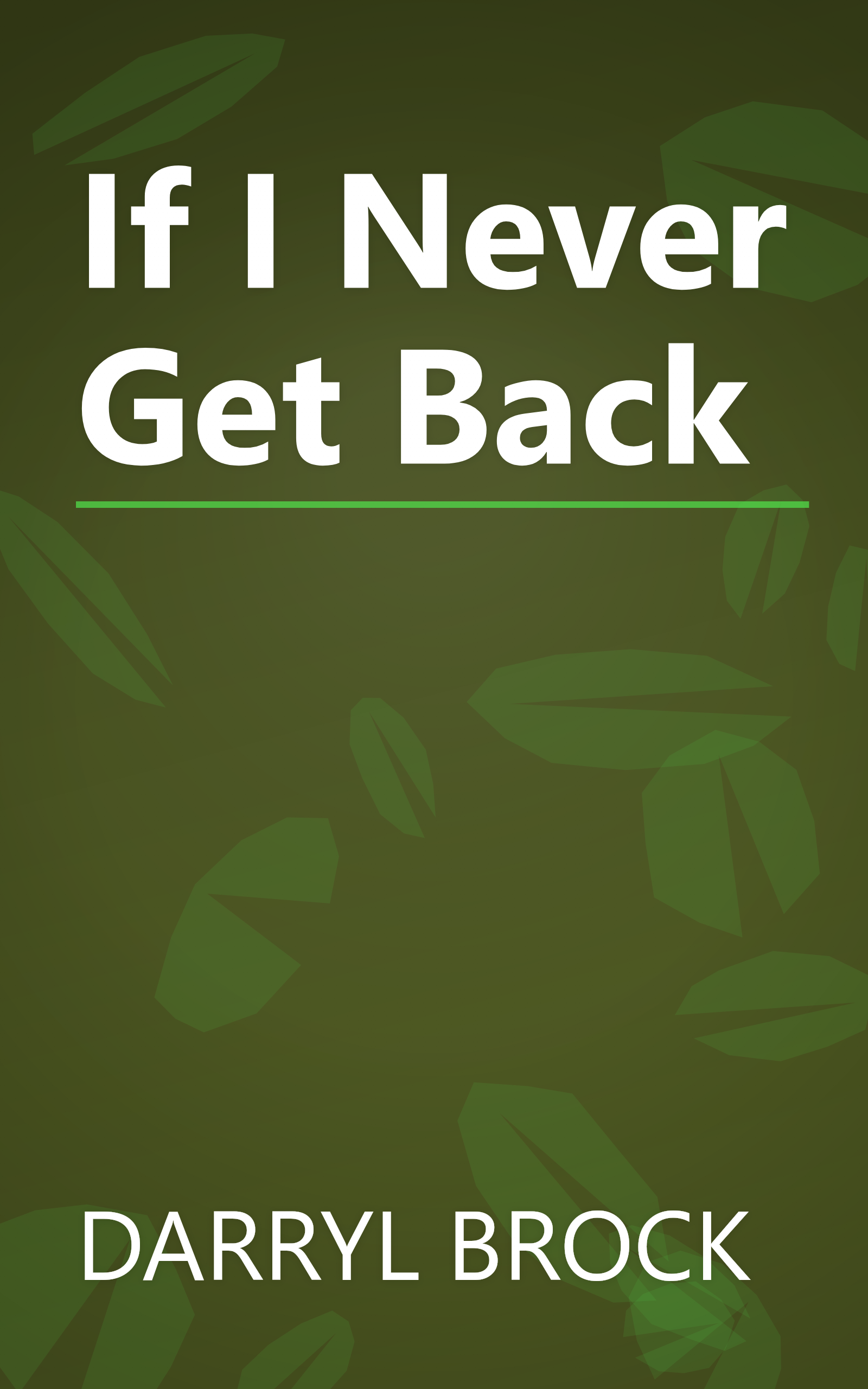 If I Never Get Back book cover