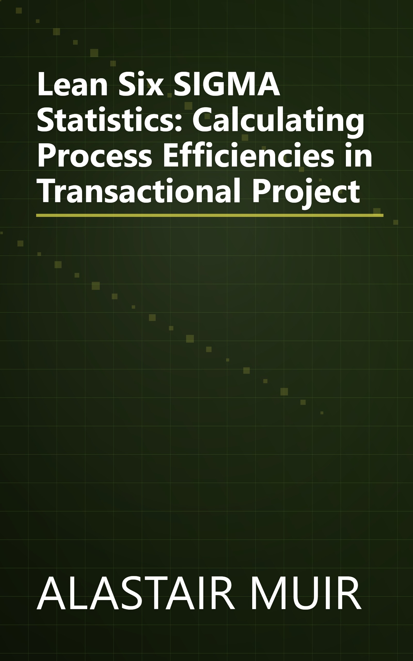 Lean Six SIGMA Statistics: Calculating Process Efficiencies in Transactional Project book cover