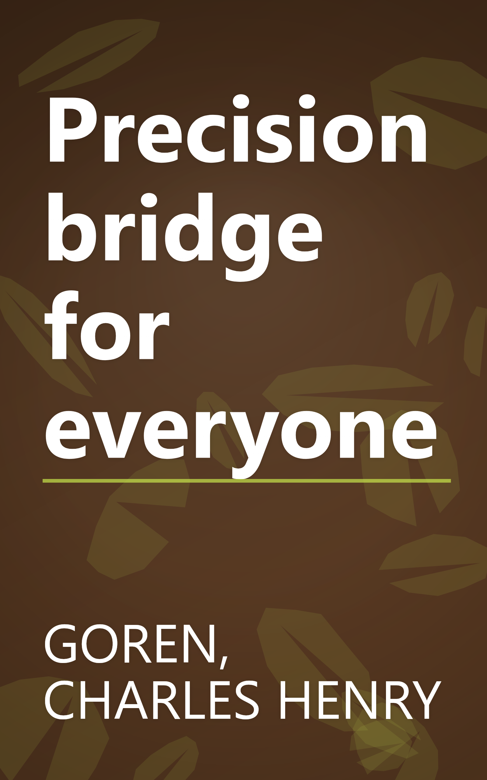 Precision bridge for everyone book cover