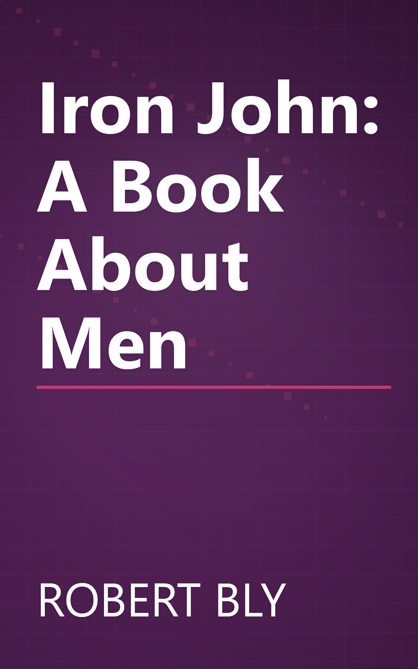 Iron John: A Book About Men book cover
