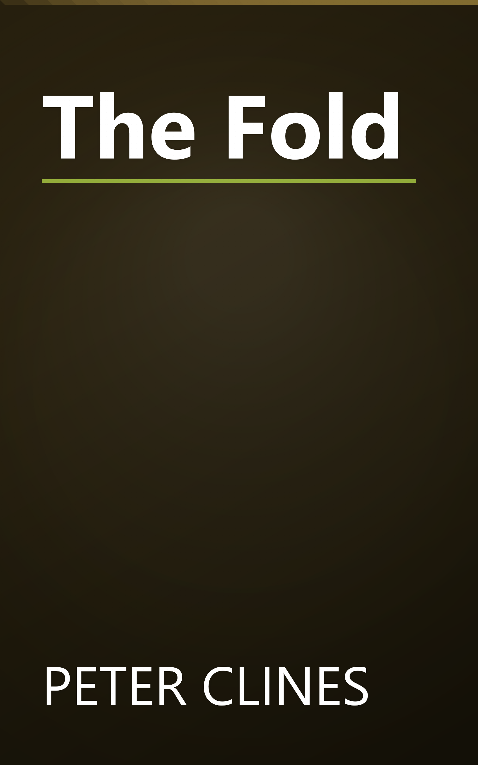 The Fold book cover