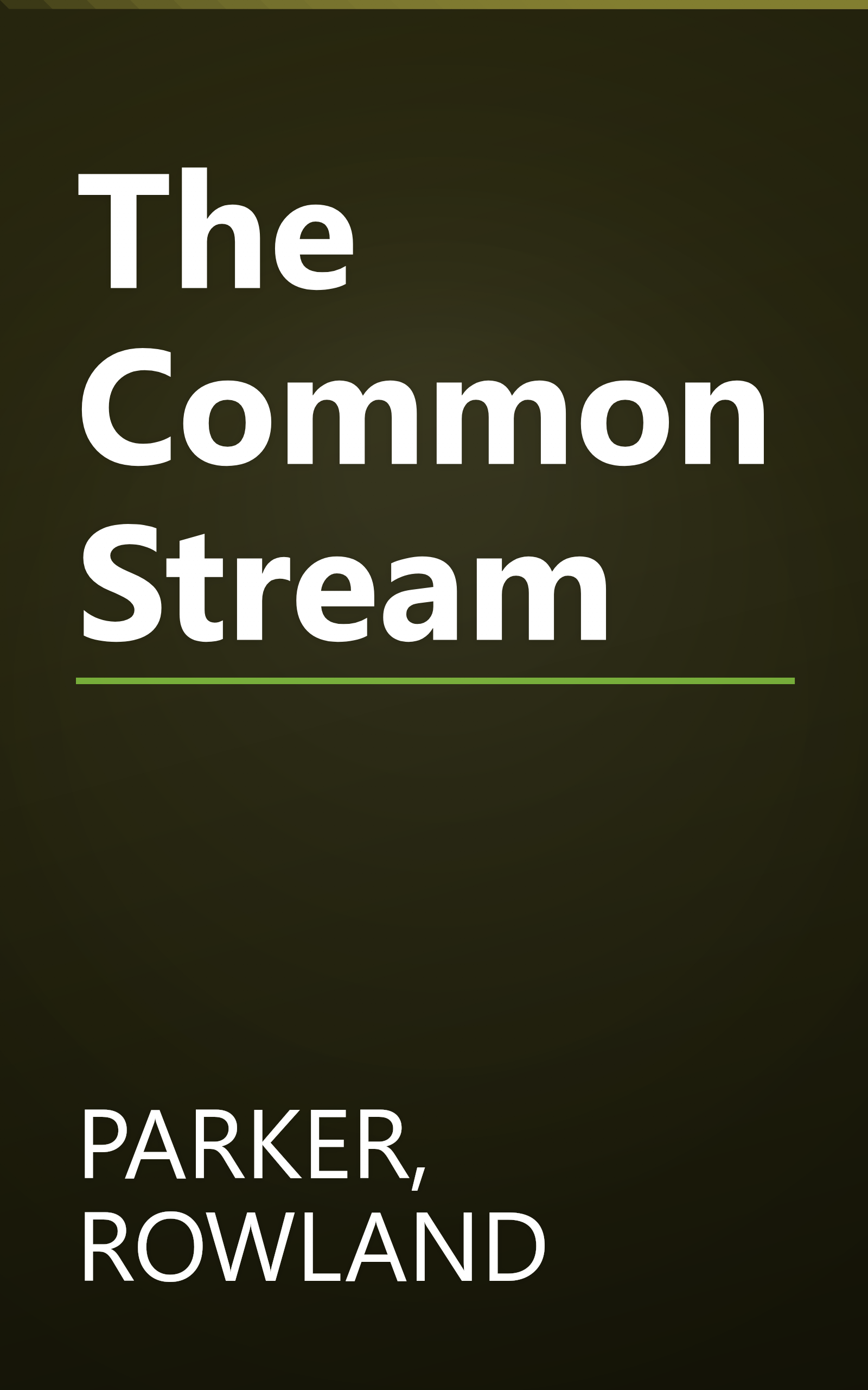 The Common Stream book cover