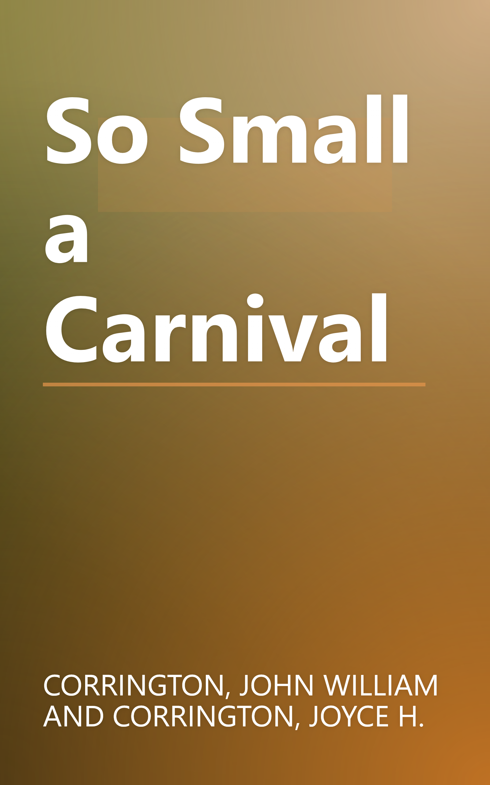 So Small a Carnival book cover