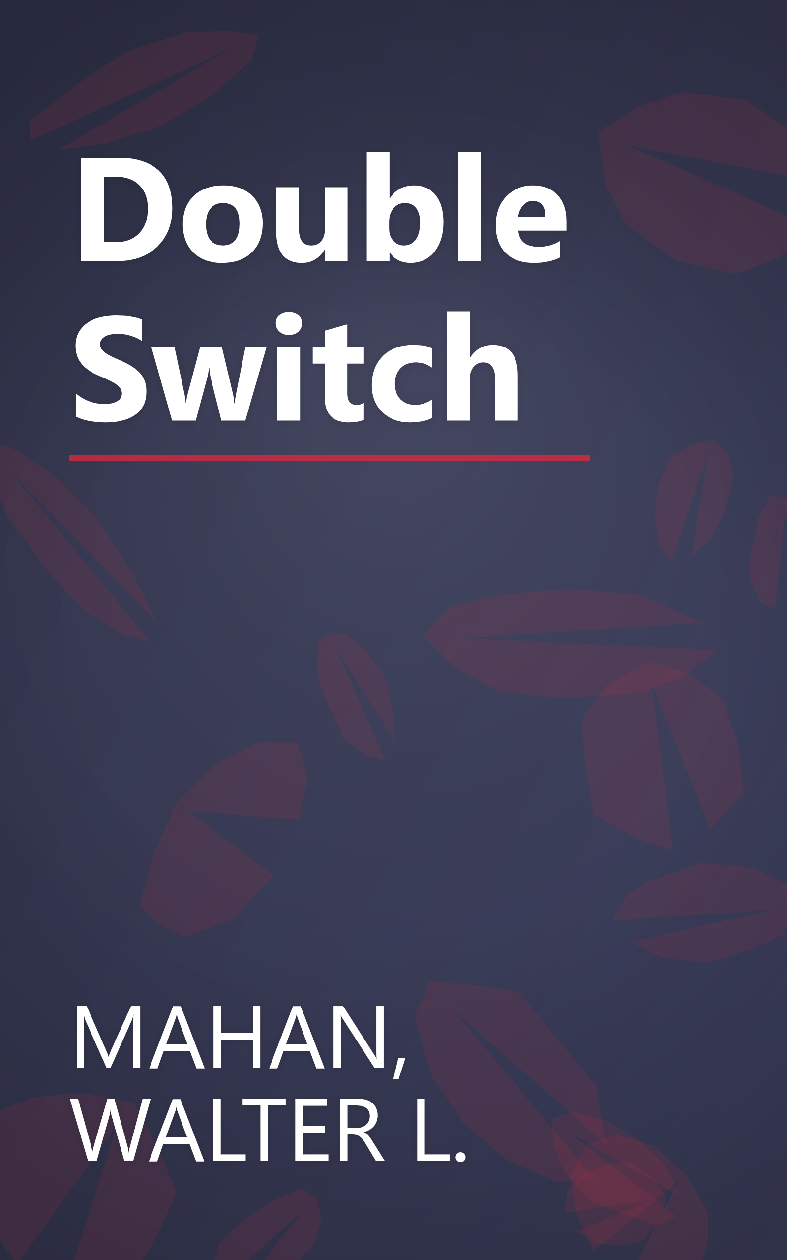 Double Switch book cover
