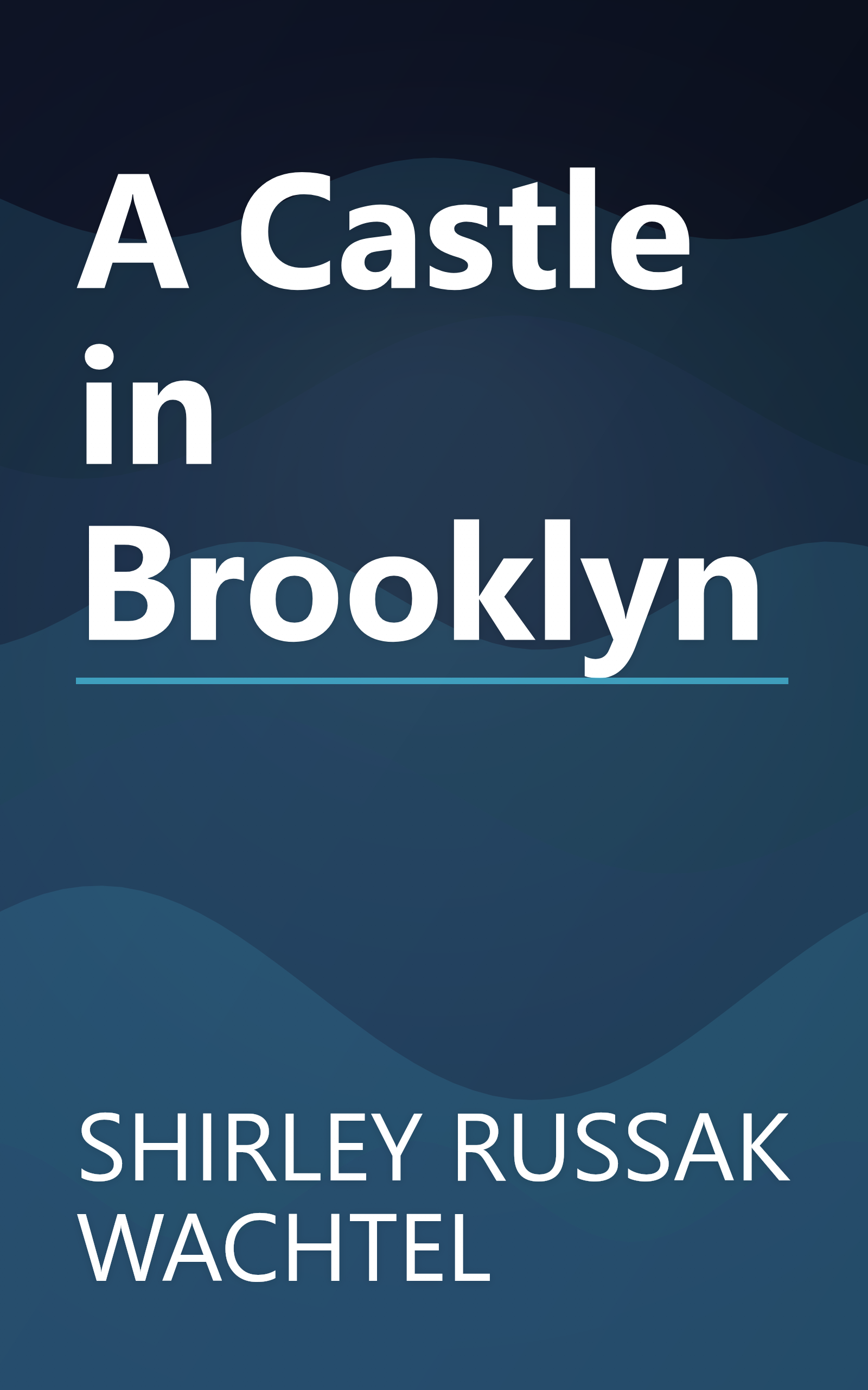 A Castle in Brooklyn book cover