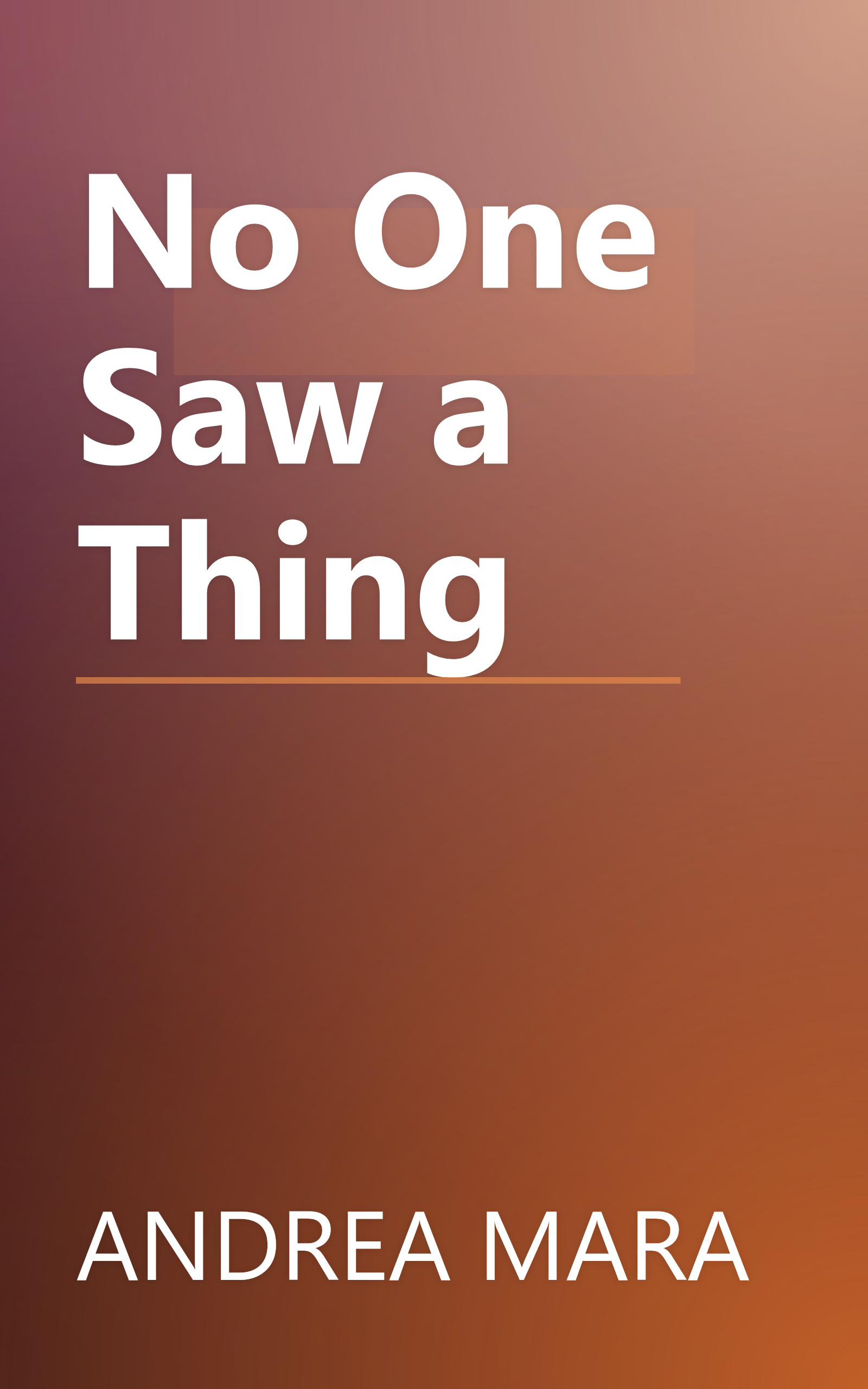 No One Saw a Thing book cover