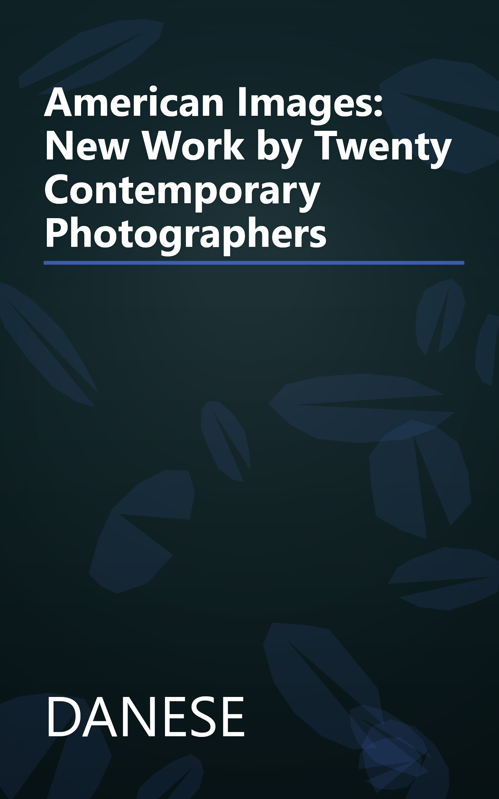 American Images: New Work by Twenty Contemporary Photographers book cover