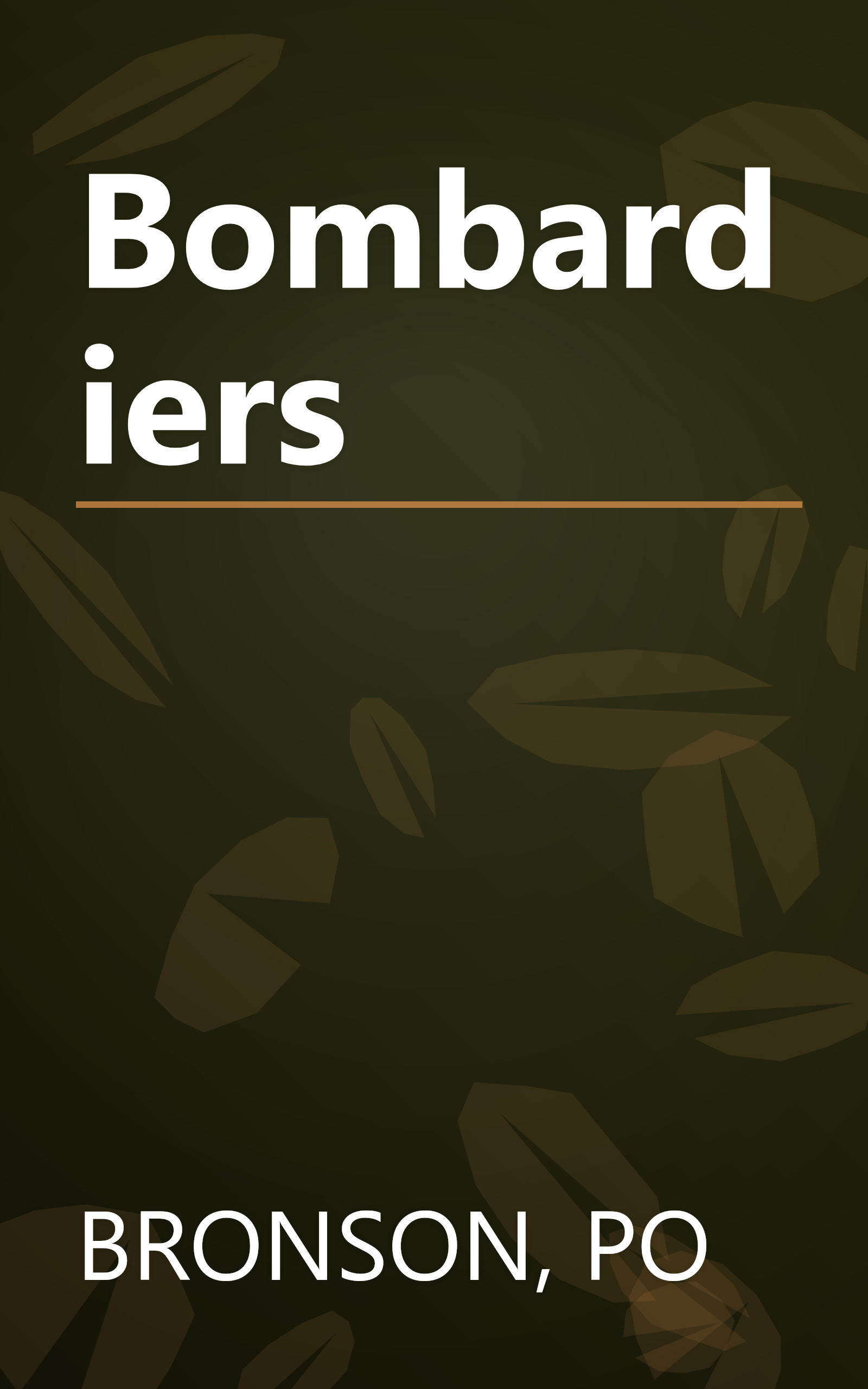 Bombardiers book cover