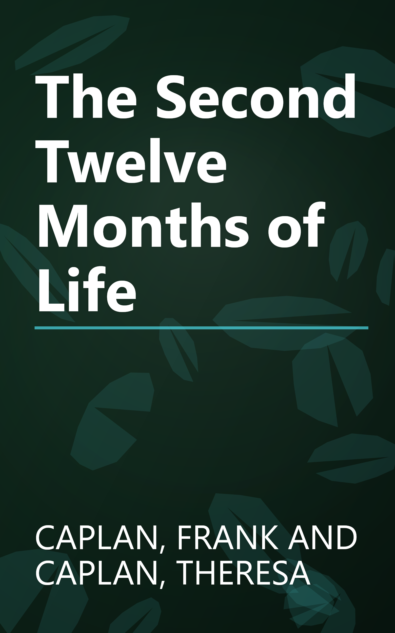 The Second Twelve Months of Life book cover