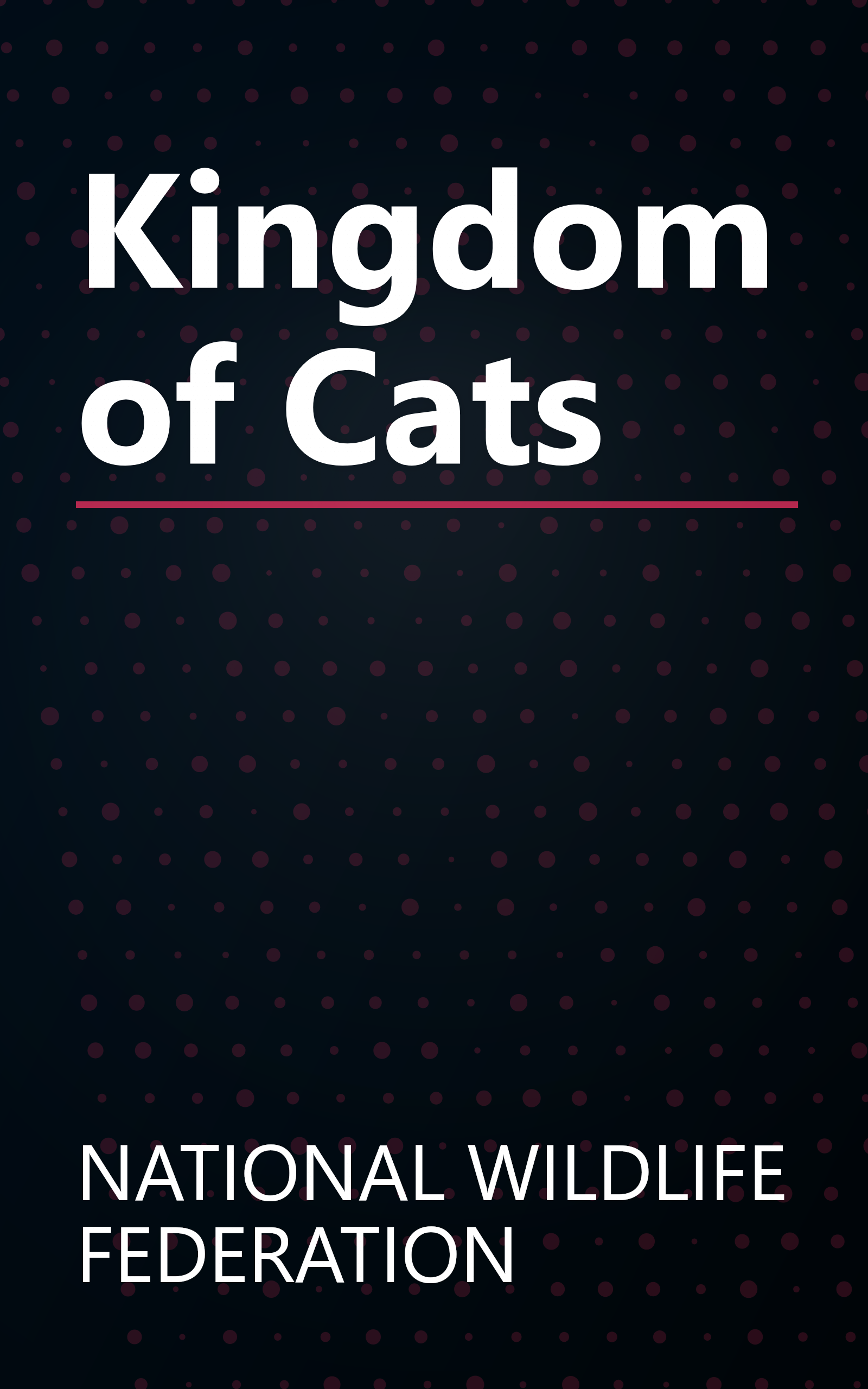 Kingdom of Cats book cover
