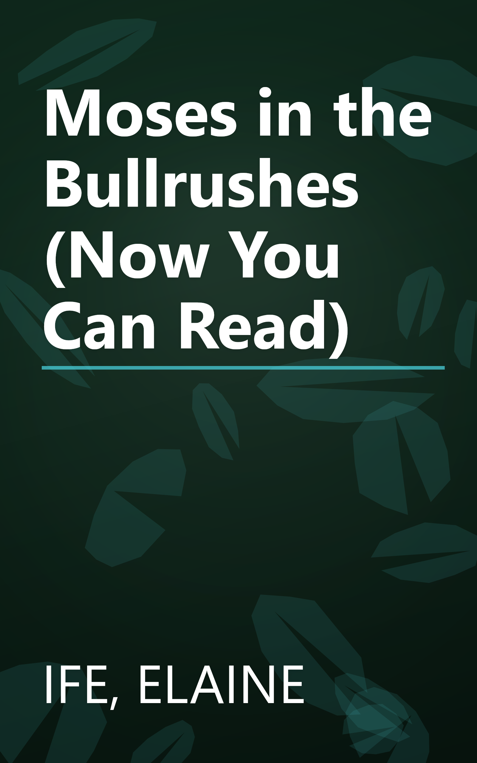 Moses in the Bullrushes (Now You Can Read) book cover