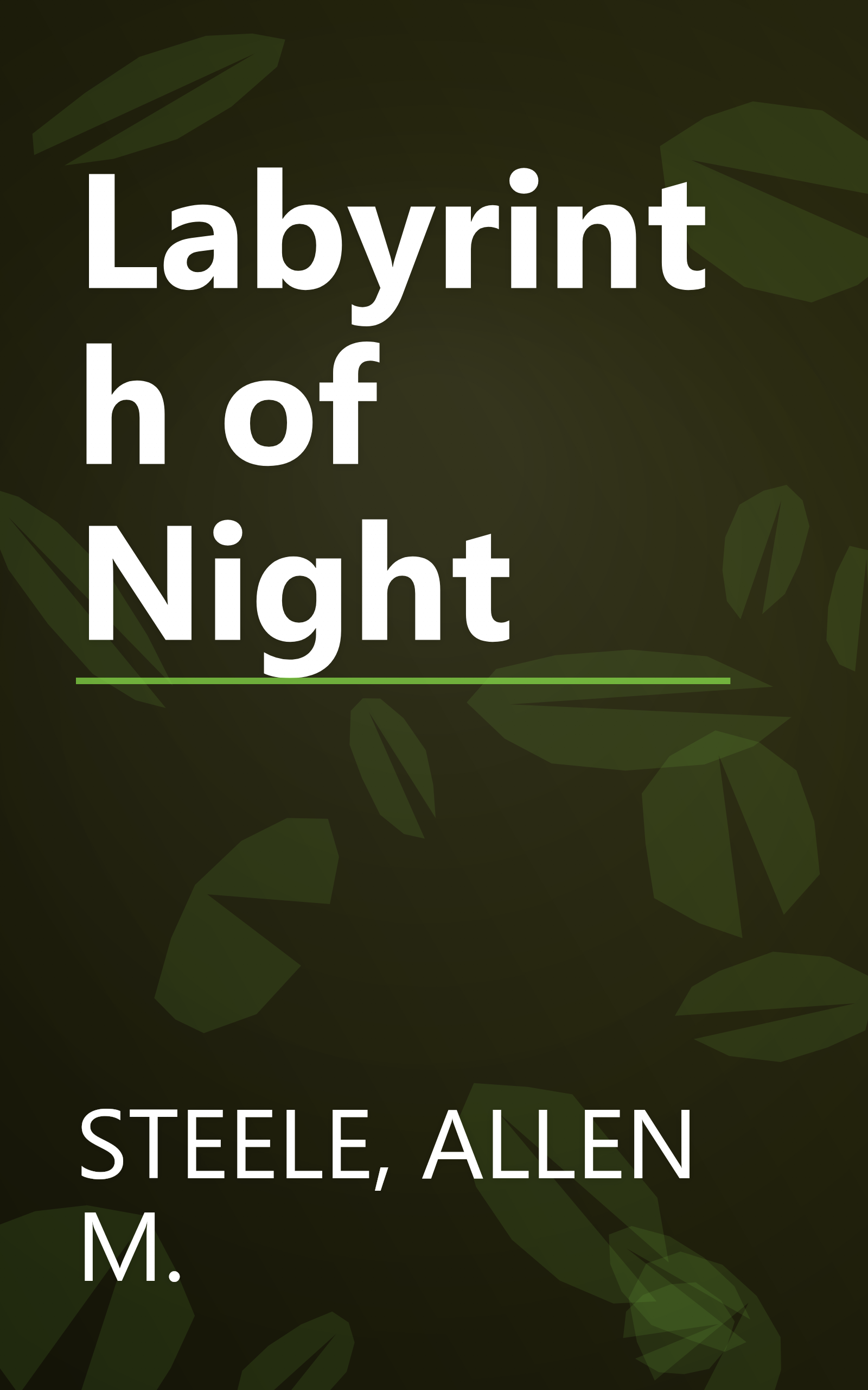 Labyrinth of Night book cover