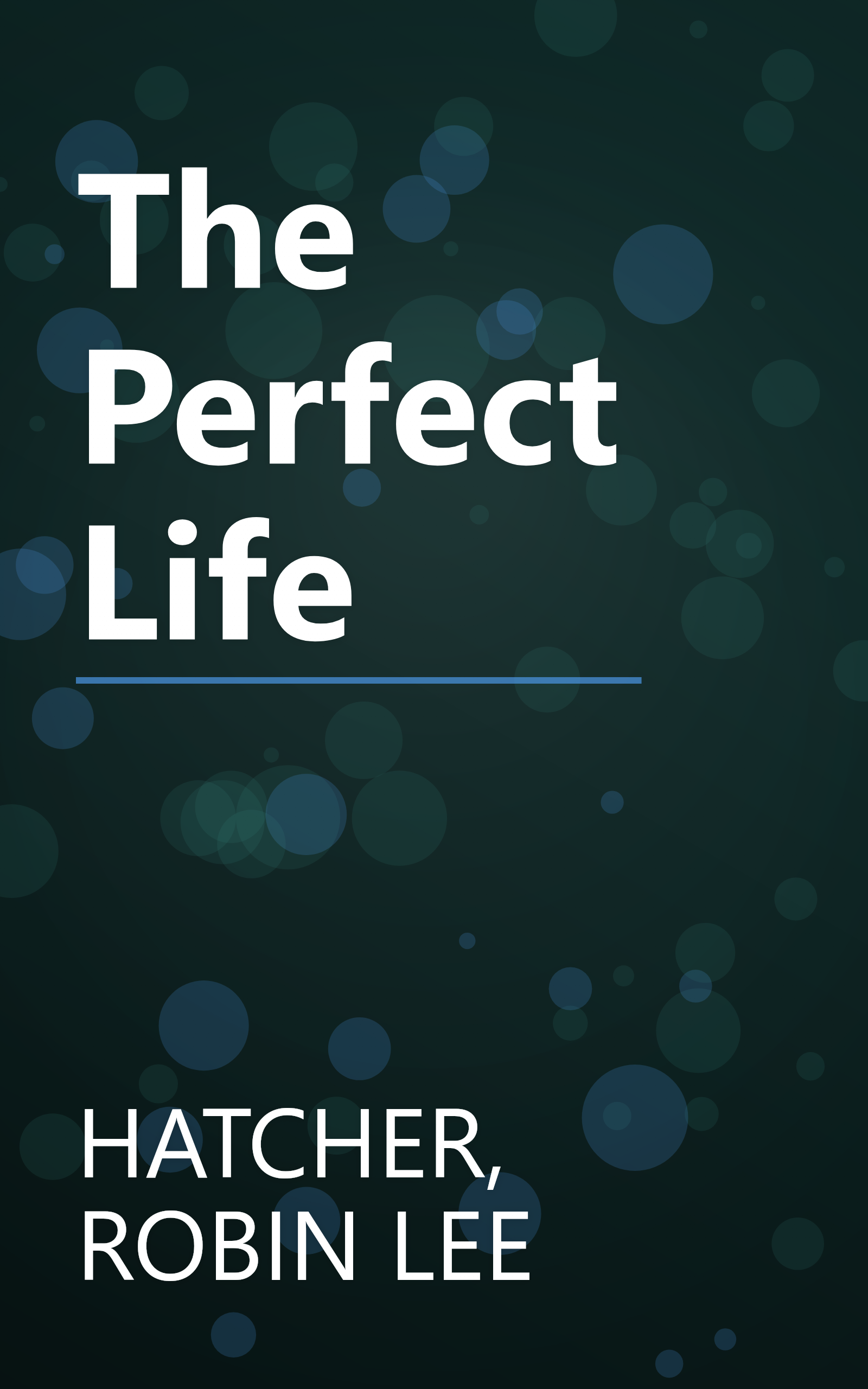 The Perfect Life book cover