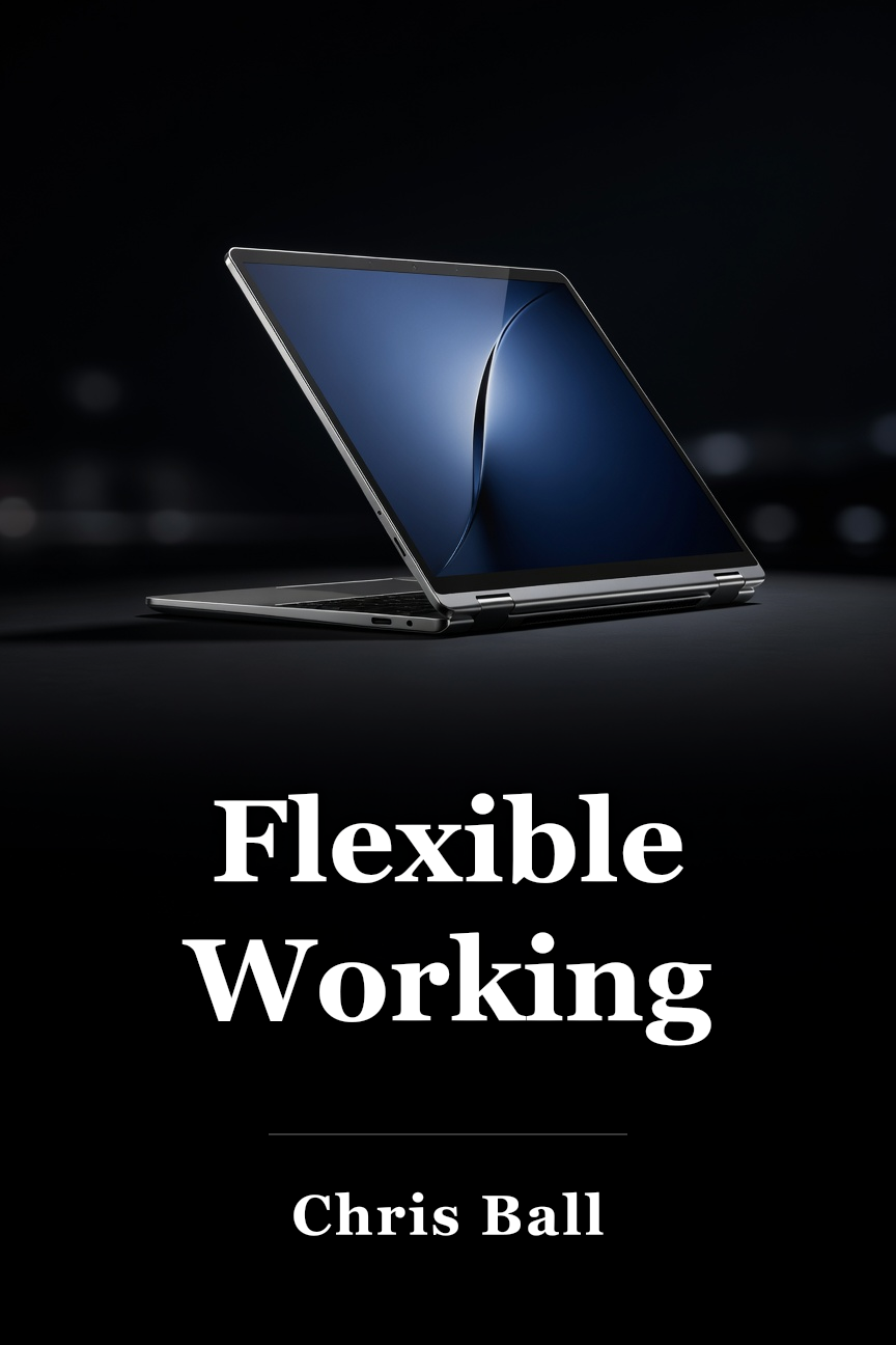 Flexible Working book cover