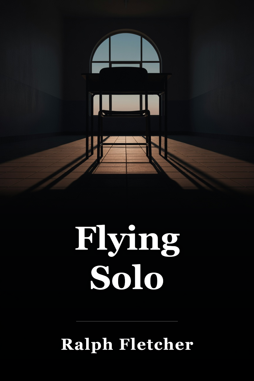 Flying Solo book cover