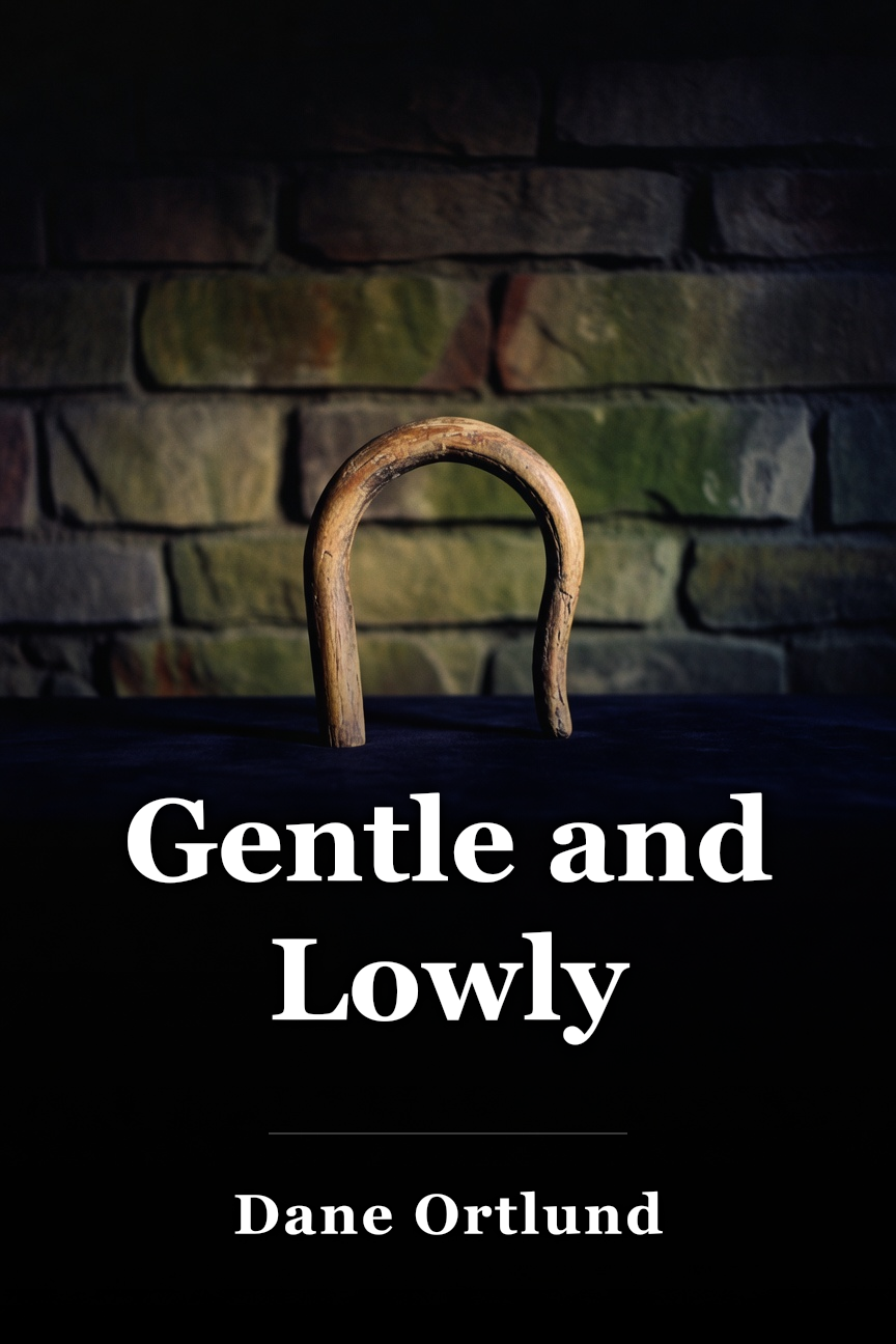 Gentle and Lowly book cover