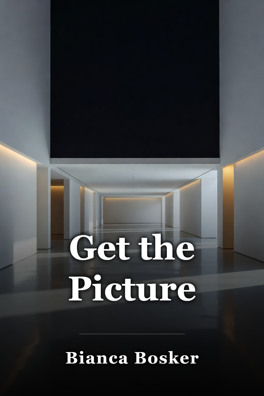 Get the Picture book cover