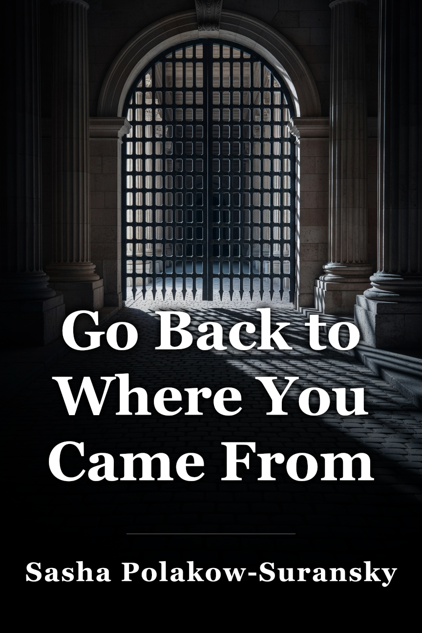 Go Back to Where You Came From book cover