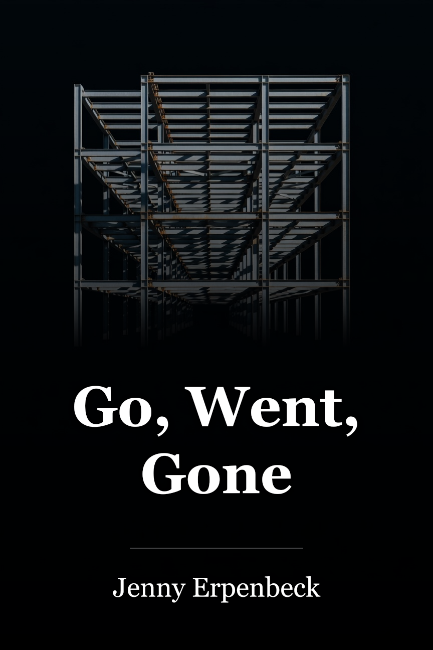 Go, Went, Gone book cover