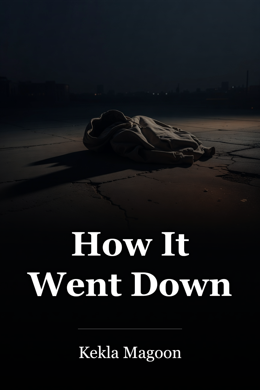 How It Went Down book cover