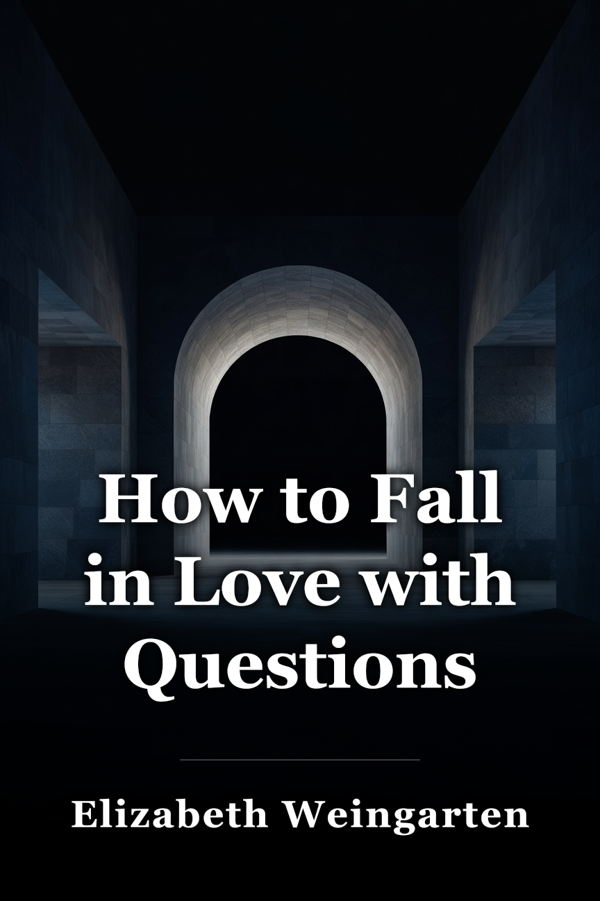 How to Fall in Love with Questions book cover