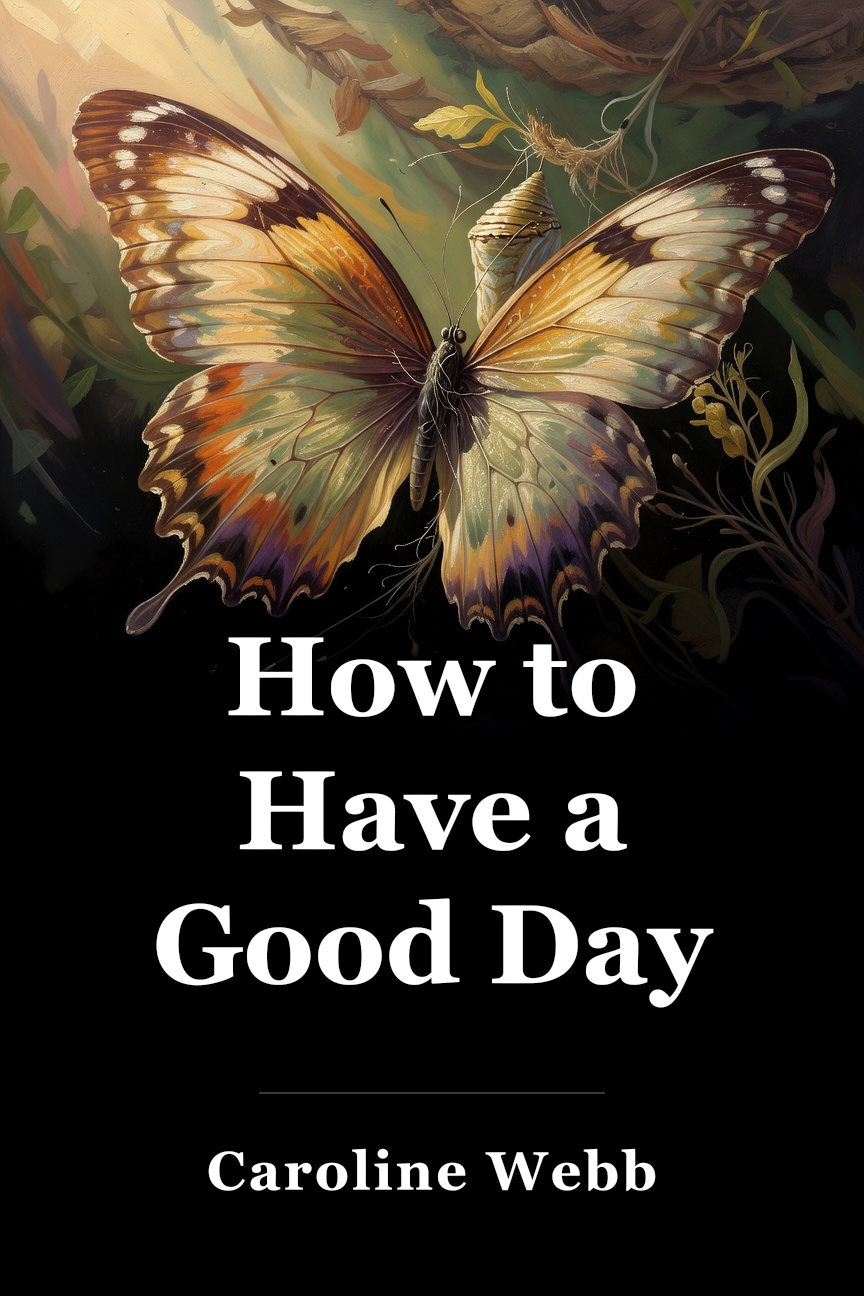 How to Have a Good Day book cover