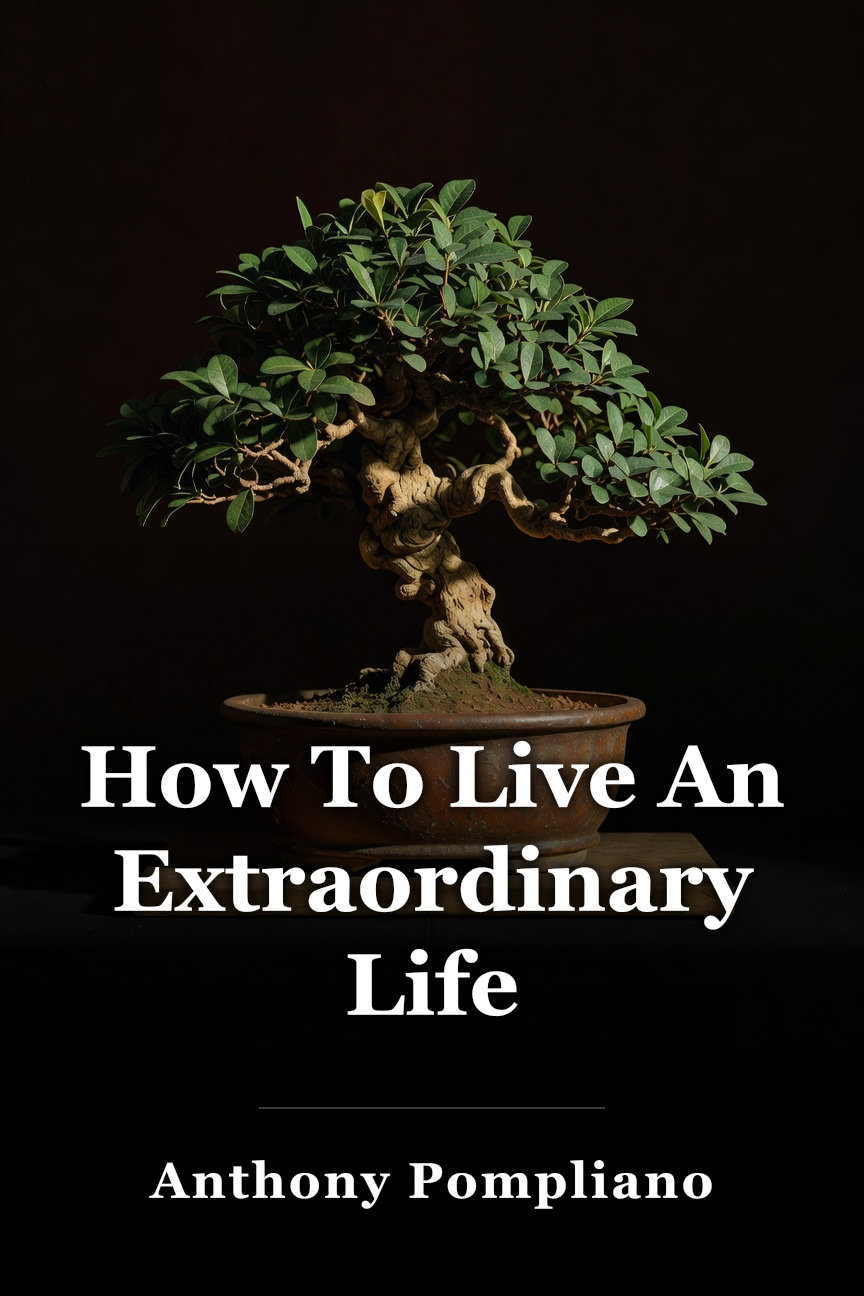 How To Live An Extraordinary Life book cover