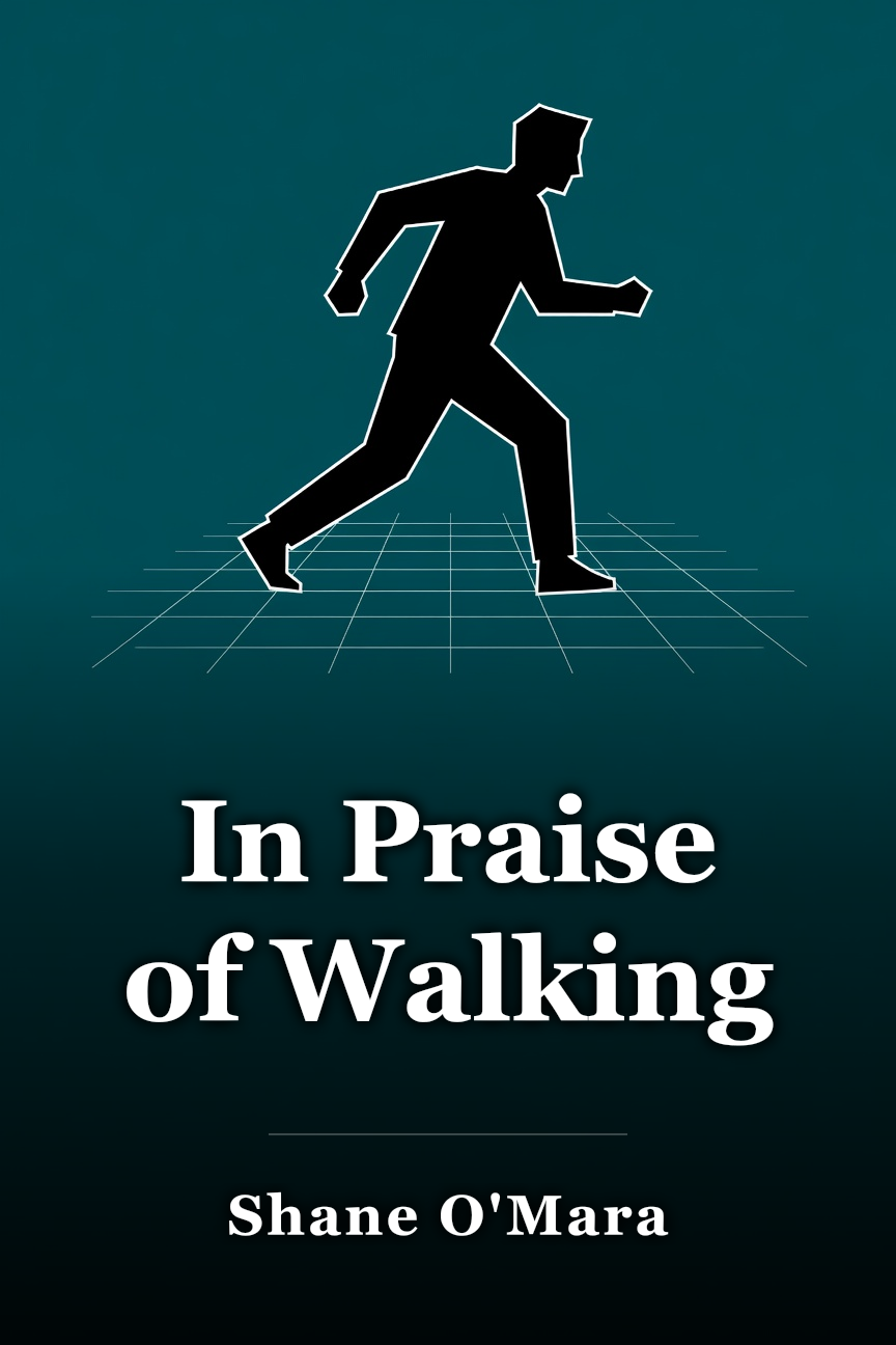 In Praise of Walking book cover
