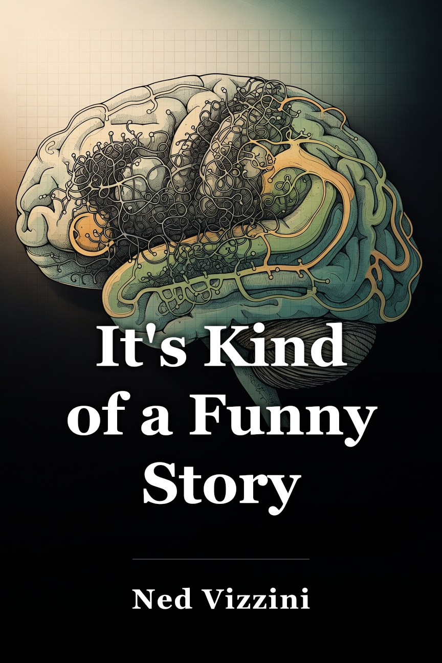 It's Kind of a Funny Story book cover