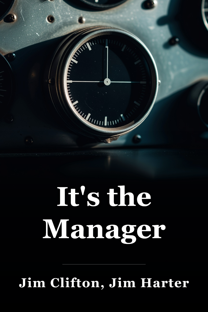It's the Manager book cover