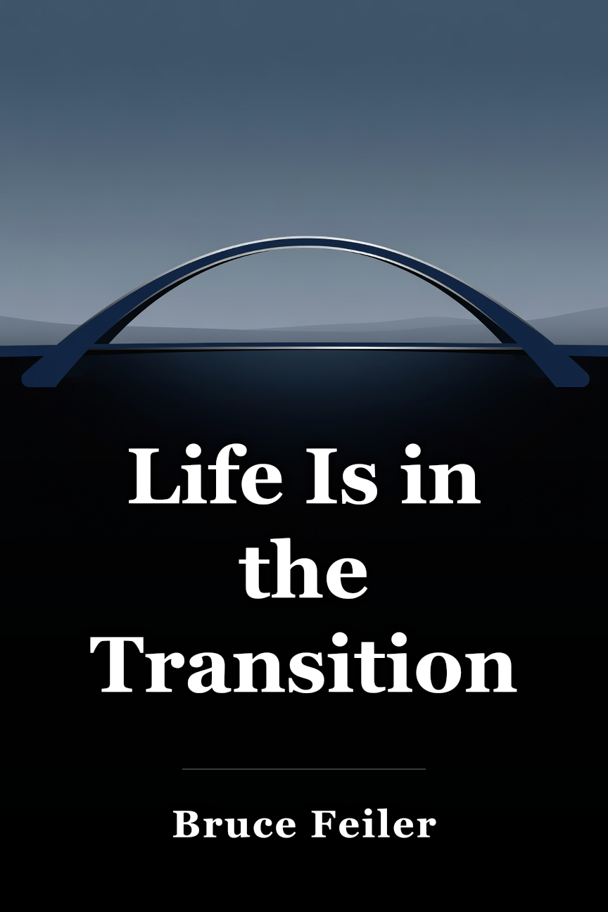 Life Is in the Transitions book cover