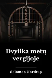 12 metų vergas book cover