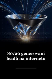 80 / 20 Internetové vedení Generace book cover