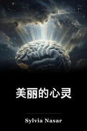 美丽的心灵 book cover