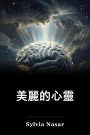 美麗的心靈 book cover