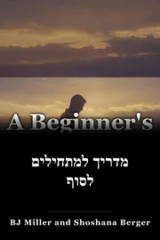 מדריך למתחילים לסוף book cover