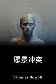 愿景冲突 book cover