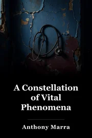 A Constellation of Vital Phenomena book cover