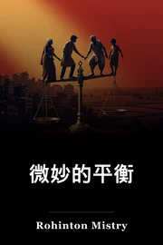 精细平衡 book cover